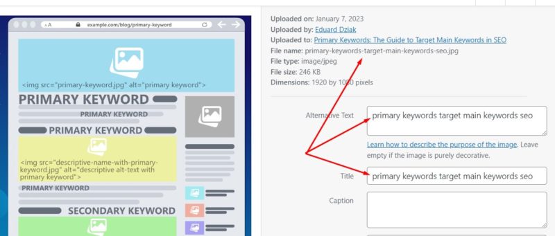 Keyword Placement: Where Are The Best Places To Put Keywords? - B2B ...